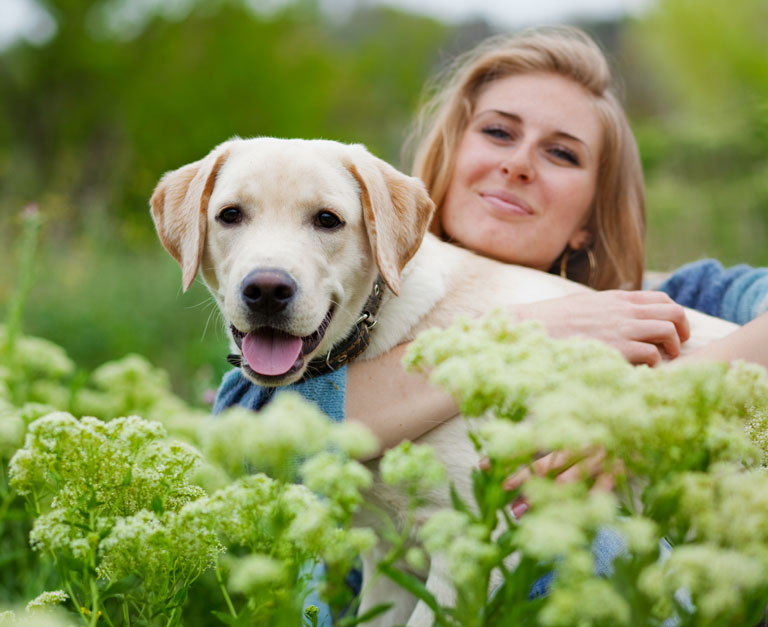 Services - Furry Kids